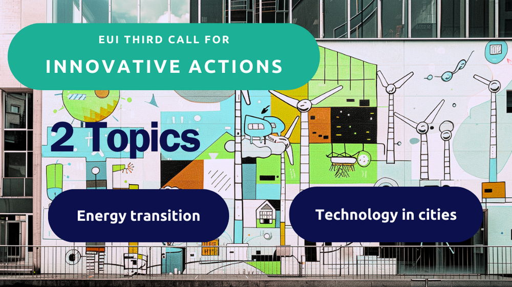 Third Call thematic focus | EUI